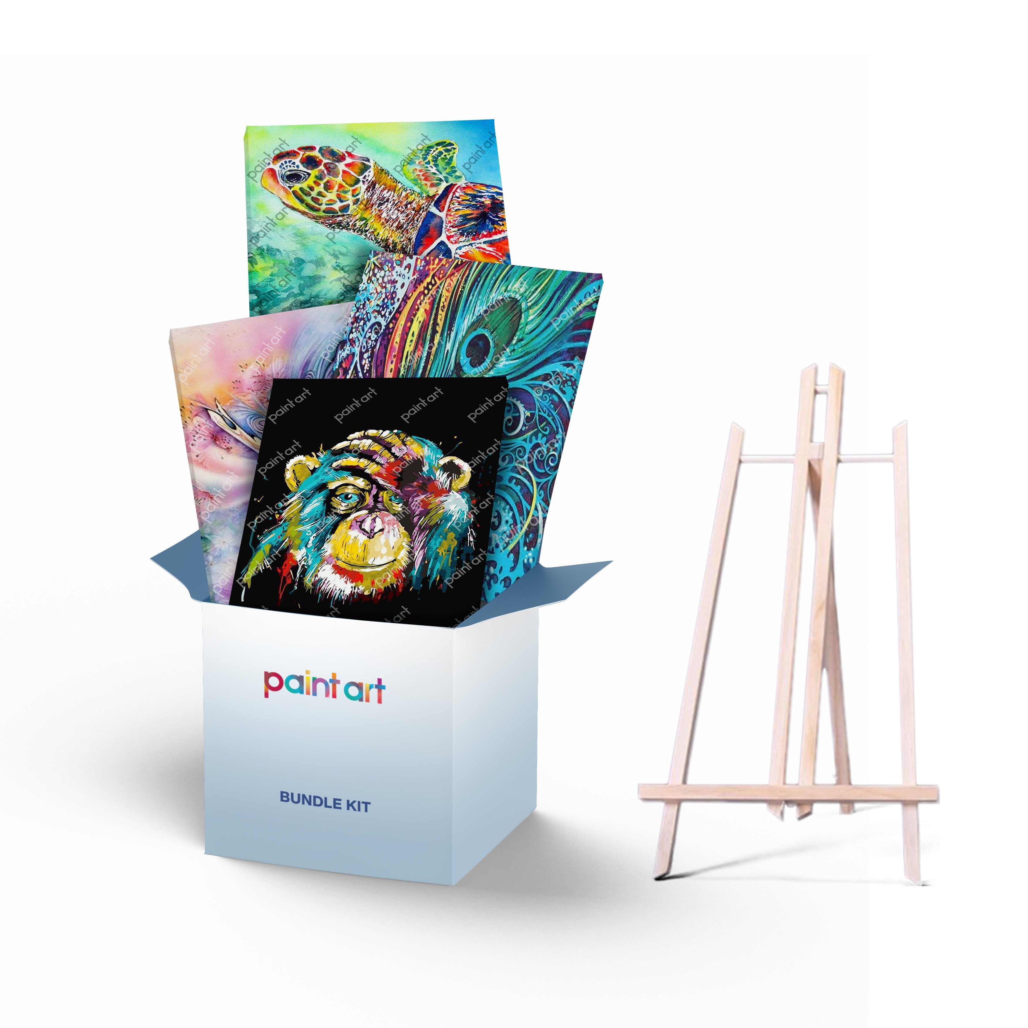 Abstract Bundle – Adult Paint By Numbers