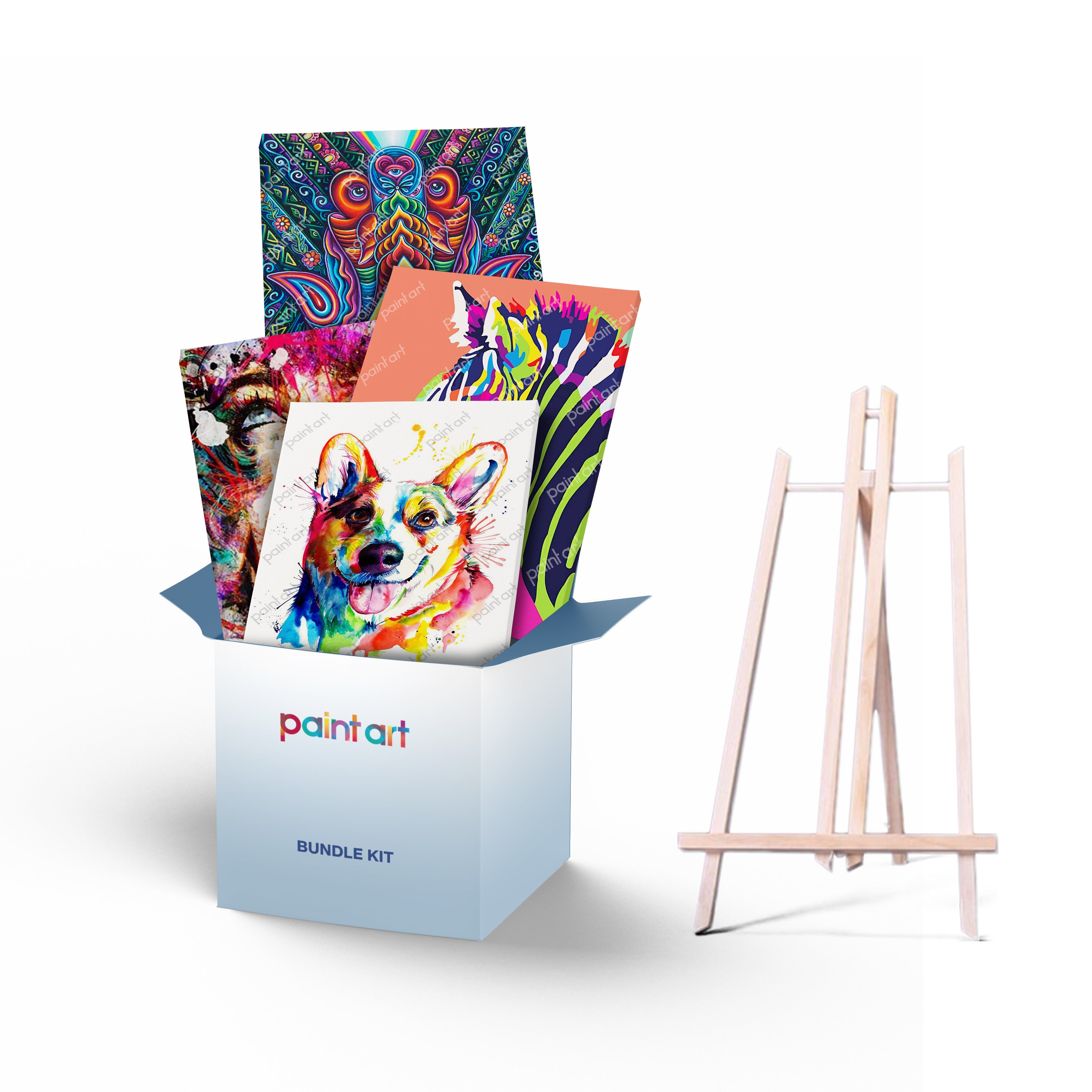 Abstract Fan Favourite Bundle – Adult Paint By Numbers