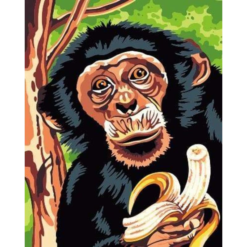 Animal Monkey Diy Paint By Numbers Kits ZXB711 – Adult Paint By Numbers