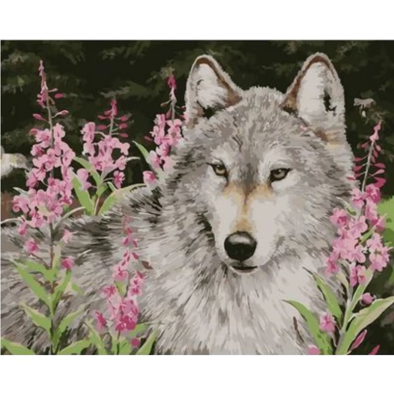 Animal Wolf Diy Paint By Numbers Kits ZXQ2487 – Adult Paint By Numbers