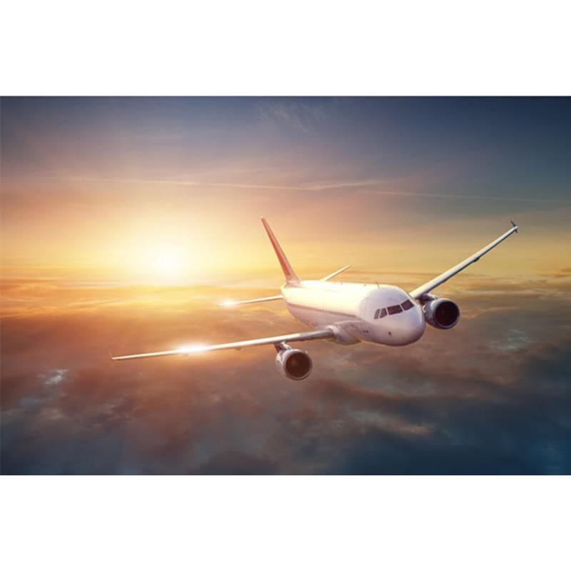 Diy Paint By Numbers Kits QFA90195 – Adult Paint By Numbers