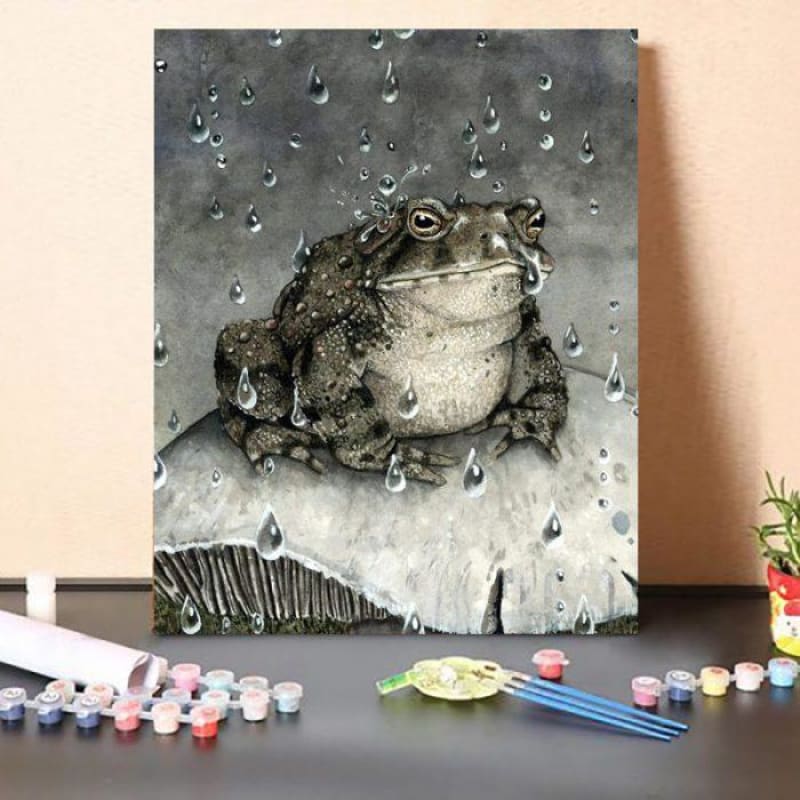 Paint By Numbers Kit Toad in the rain – Adult Paint By Numbers