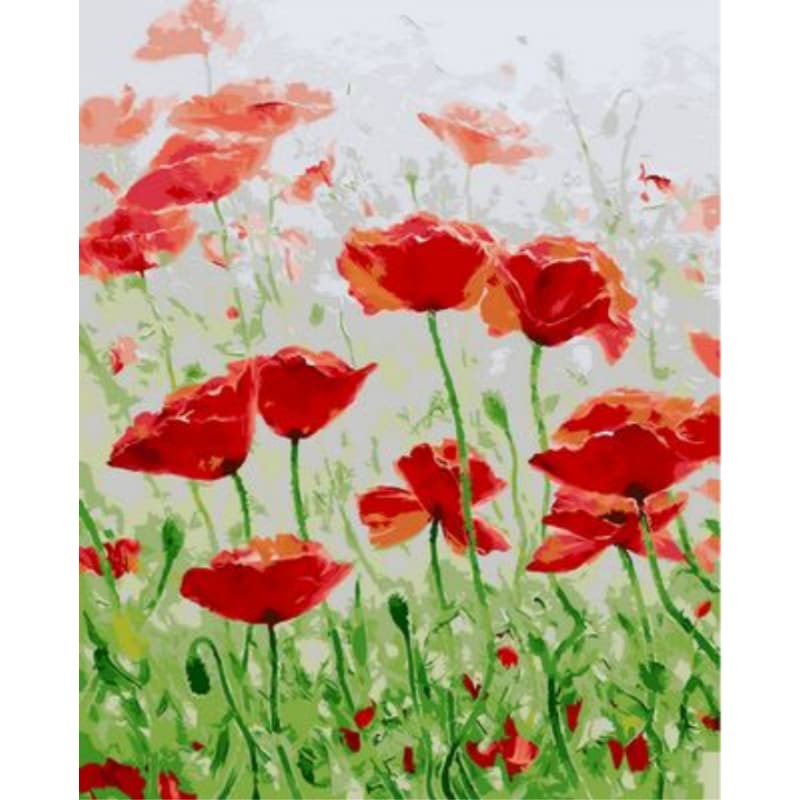 Poppy Flower Diy Paint By Numbers Kits ZXQ1042 – Adult Paint By Numbers